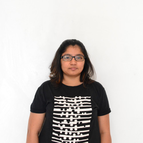 Echo Analytics | Insight-ready Geospatial and POI data